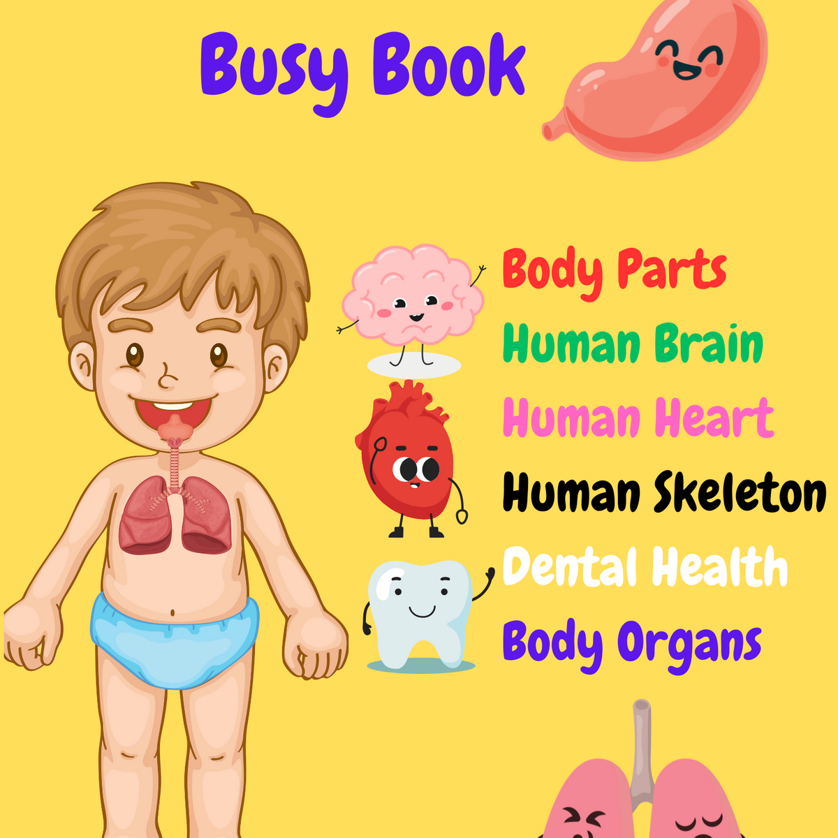 Human Anatomy Busy Book – NHN Learning